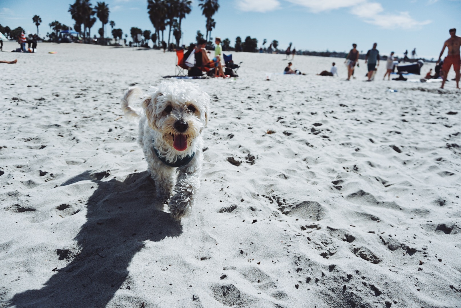 Travel Diary: 72 Hours in San Diego Plus What To Do, See, & Eat There