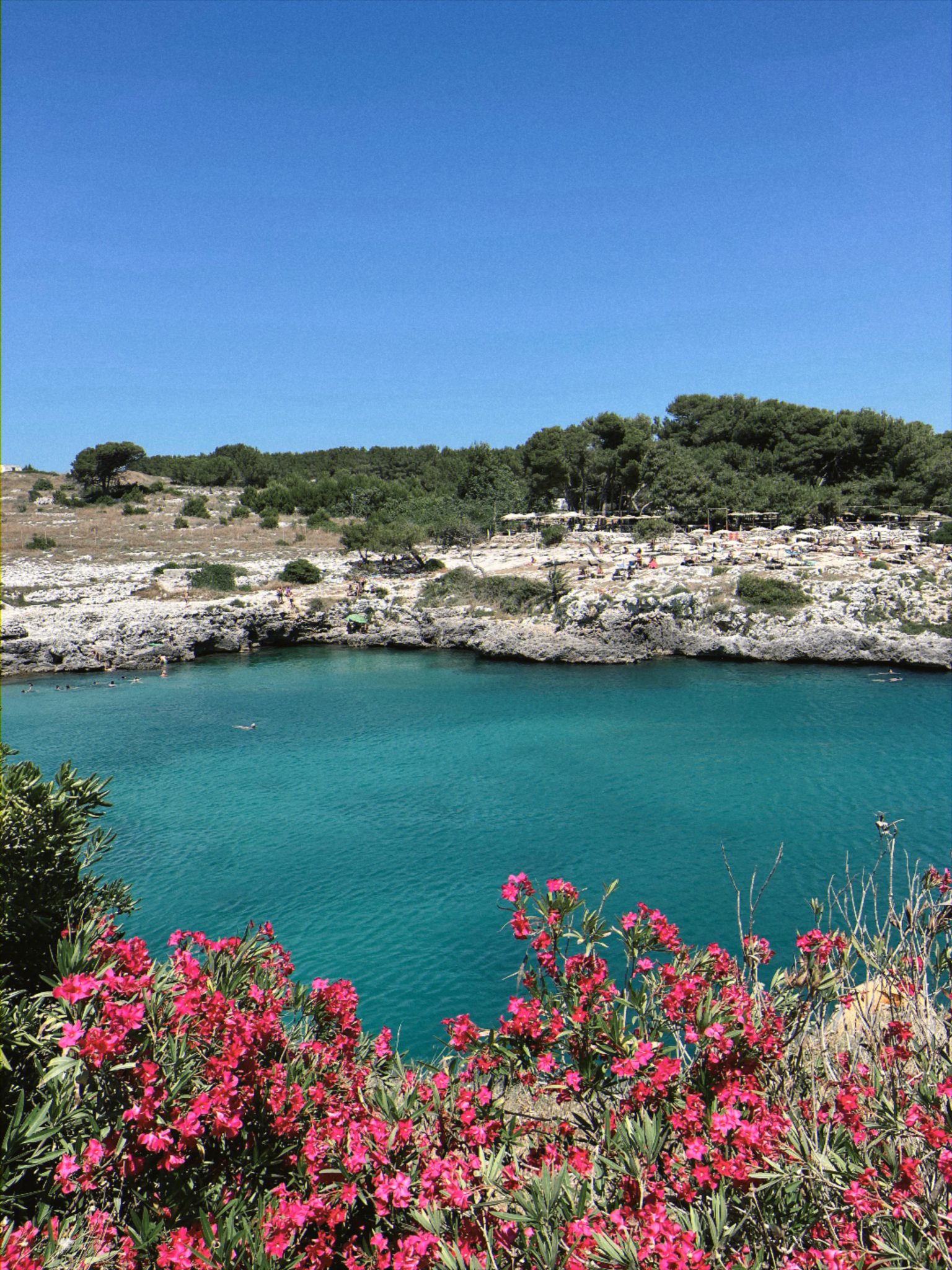 Puglia Guide: The Ultimate Guide For Chic Travelers